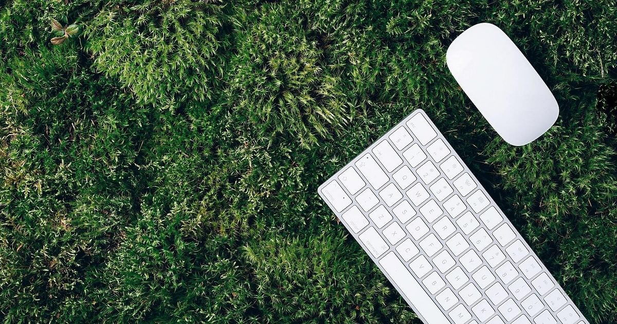 New Narrative | Carving out white space in the green agenda